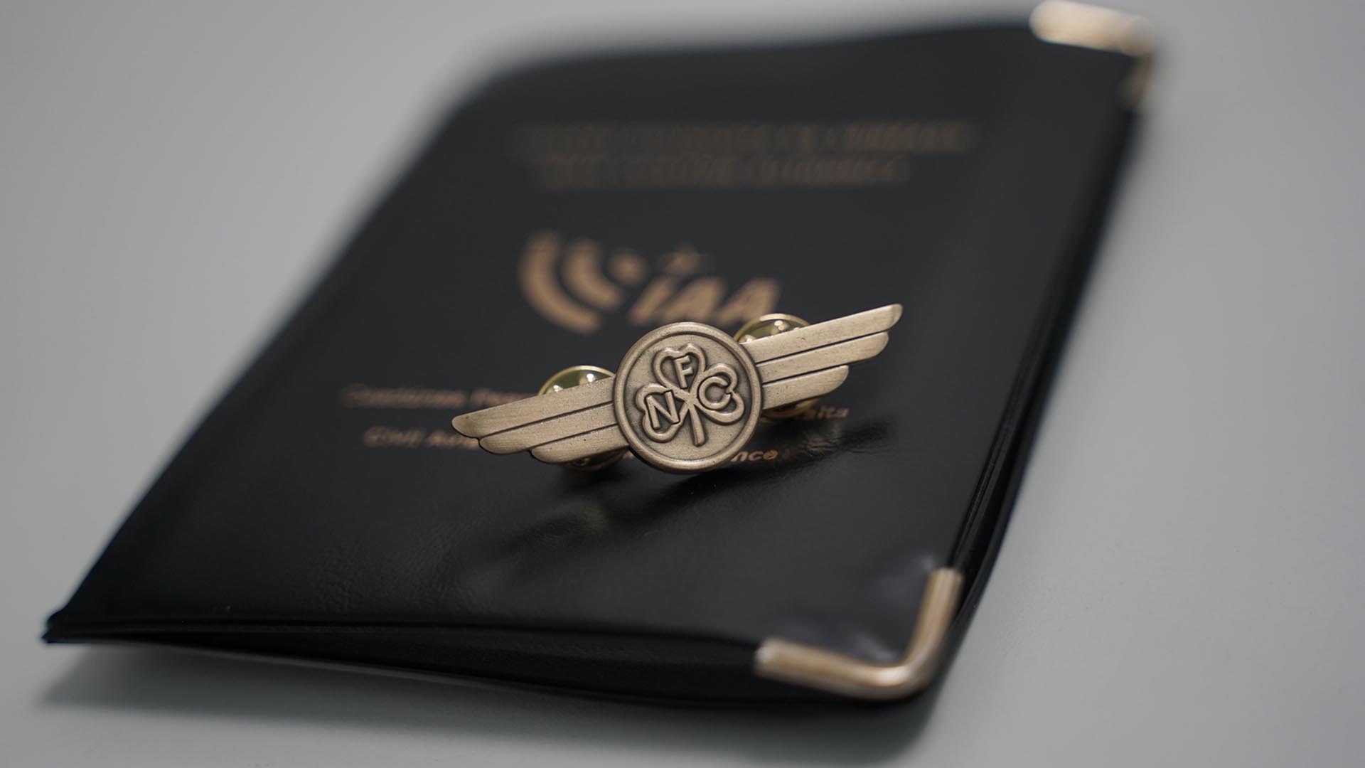 Pilot License - Sunsea Aviation Services Private Limited